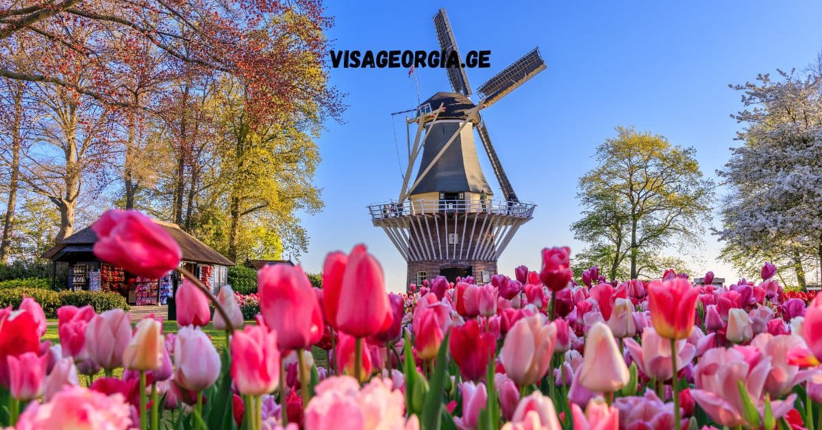 რა ვნახოთ ამსტერდამში?! ტოპ 10 ადგილი